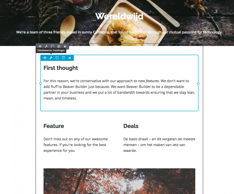 WordPress page builder: WPbakery visual composer, Beaver Builder of Divi Builder? – xel academy