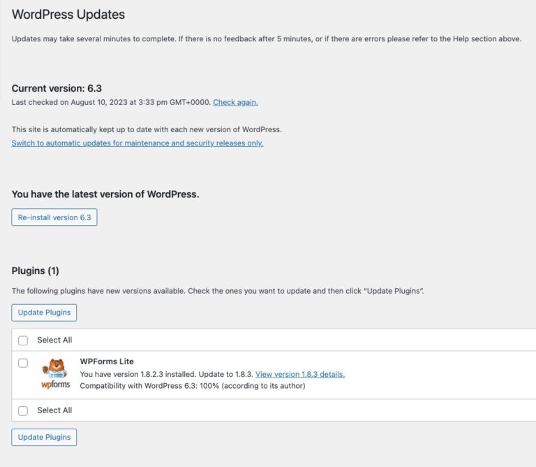 WordPress, thema's en plugins handmatig updaten – xel academy
